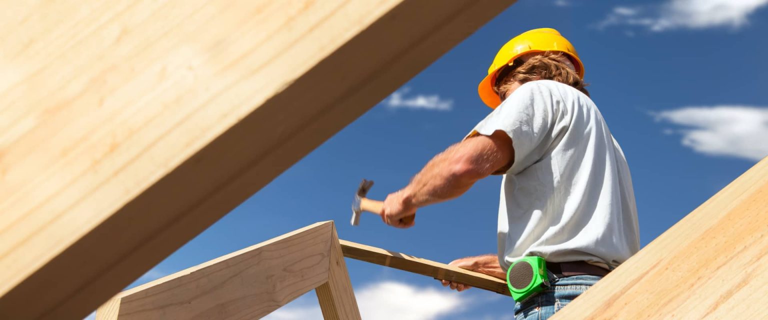 Accueil - Bois de france