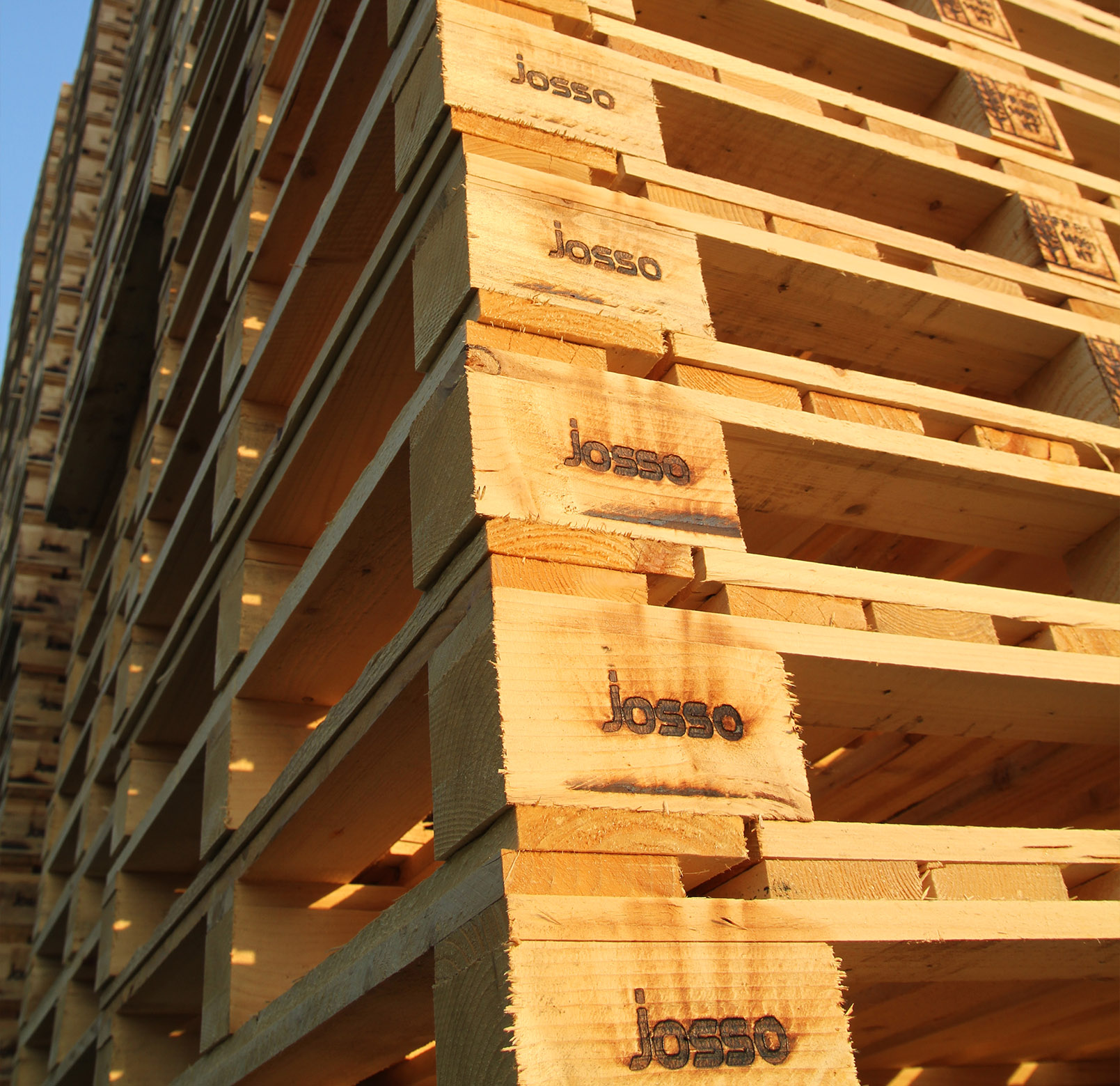 Focus sur JOSSO - Bois de france